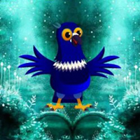 Biggest Escape Game-Big Escape Games