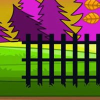 Biggest Escape Game-Big Escape Games