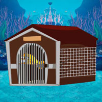 BigEscapeGames- Play Big Escape Games Every Week